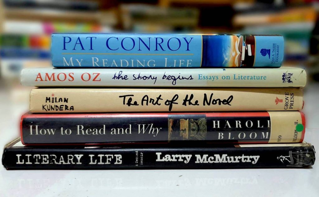 Books About Literature - Bookish Bay