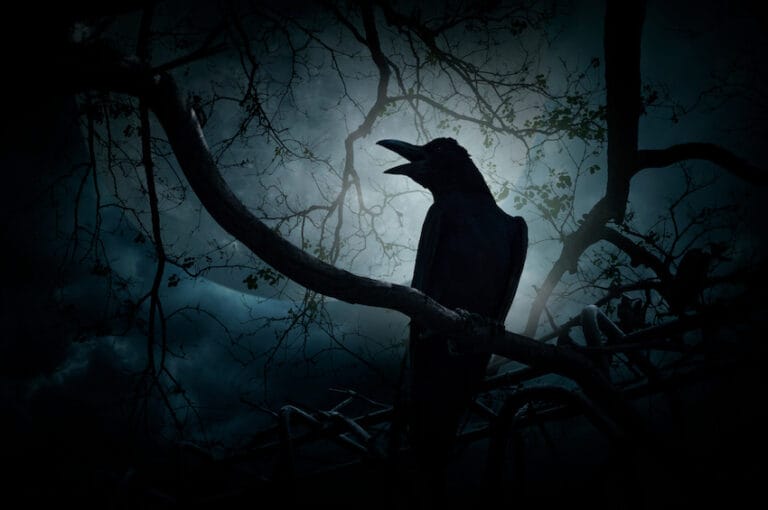 The Use of Foreshadowing in a Story: Key Insights