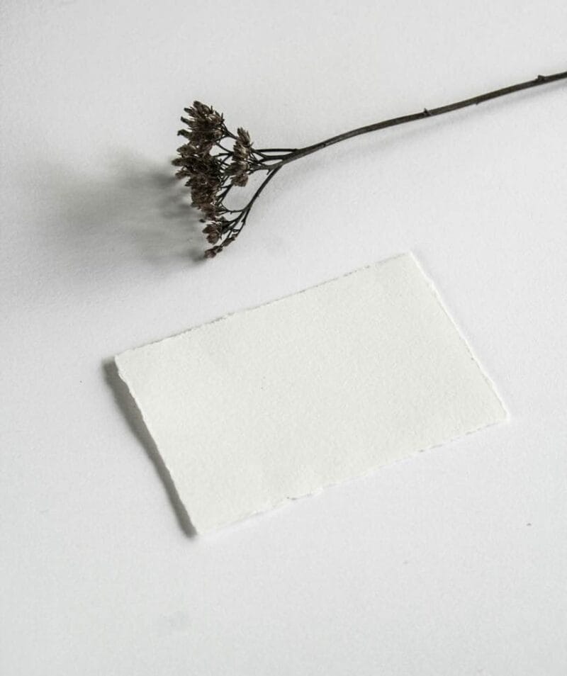 Discover the Allure of Deckle Edge Pages in Books