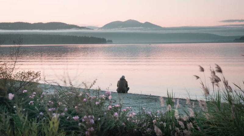 36 Poetic Devices Every Poetry Enthusiast Should Know